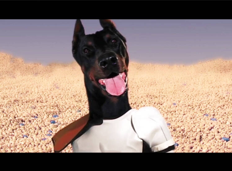 Watch This Adorable 'Star Wars' Trailer, as Told By Puppies and Kittens ...