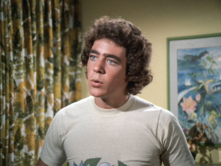 The Brady Bunch Greg Season 1