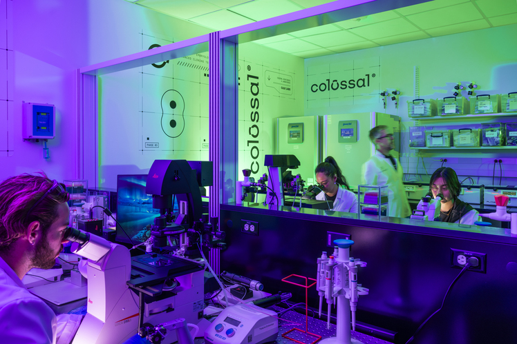 Behind the Curtain: Ben Lamm’s Multi-Billion Dollar Ideas and the Labs ...